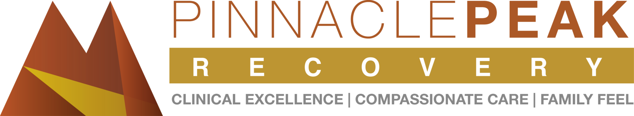 Review Us | Pinnacle Peak Recovery